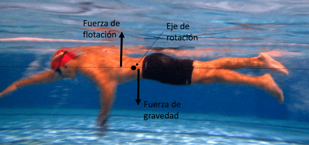 Primer principio OET Method natación crol